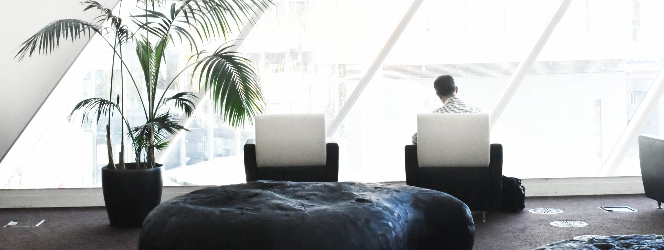 Silverline Consulting Who We Serve - Silverline Consulting